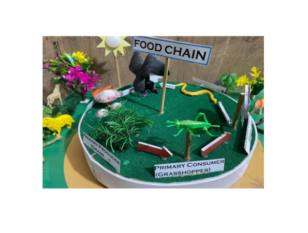 Food chain working model – Projectronics